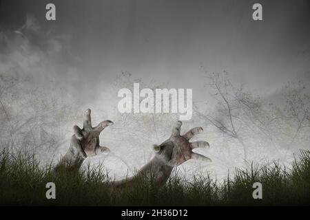 Zombie hand with blood and wound raised from the graveyard Stock Photo ...