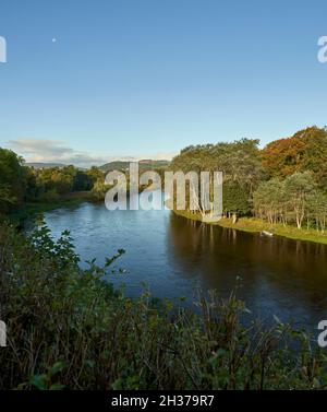 Autumn colours on theMiddle Pavilion fishing beat near Gattonside in ...