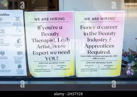 Advertisement for a job vacancy in a shop window Stock Photo - Alamy