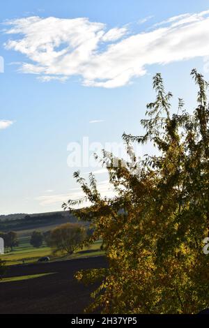 autumn in the Thürer Wiesen Stock Photo - Alamy