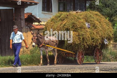 A farmer leads his donkey pulling a wagon carrying his family and sheep ...