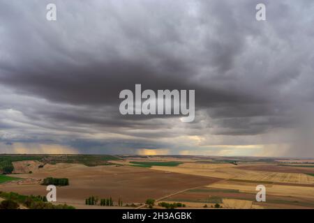 storm onset in a crop field Stock Photo - Alamy