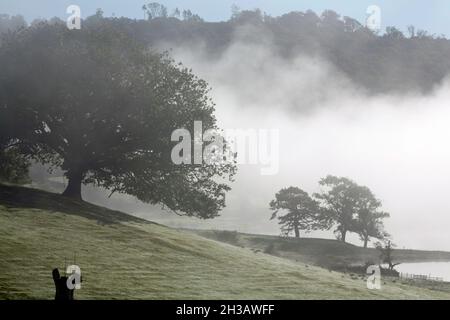 Misty morning Esthwaite Water near Hawkshead the Lake District Cumbria ...