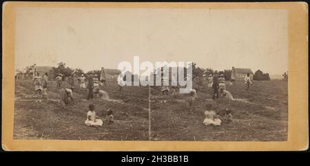 Vintage photograph circa 1863 during the confederacy era showing ...