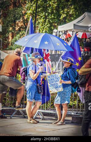 No Brexit banner at a political protest in London Stock Photo - Alamy