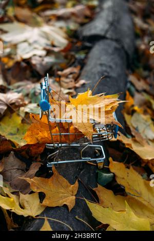 Autumn sale, Black Friday. Mini toy Grocery Shopping trolley cart with ...