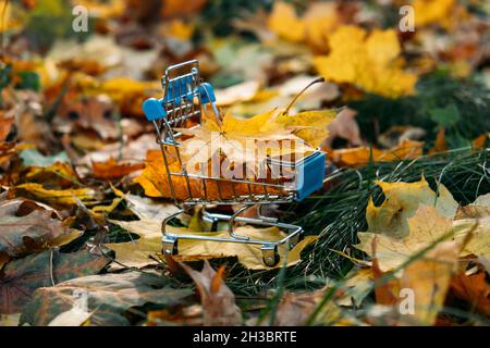Autumn sale, Black Friday. Mini toy Grocery Shopping trolley cart with ...