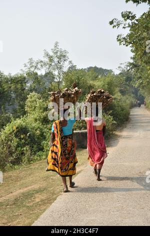 NORTH 24 PARGANAS, INDIA - Jun 08, 2021: A girl with her colorful hair ...