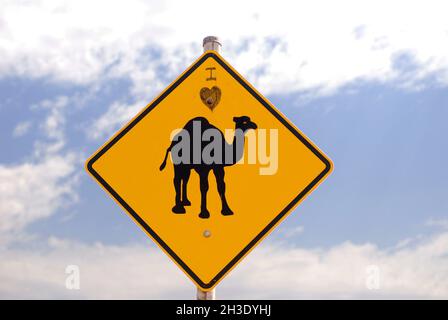 Traffic sign 'Beware of camels' at the outback, Australia Stock Photo ...