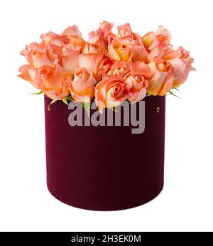 peach rose on a black box Stock Photo - Alamy