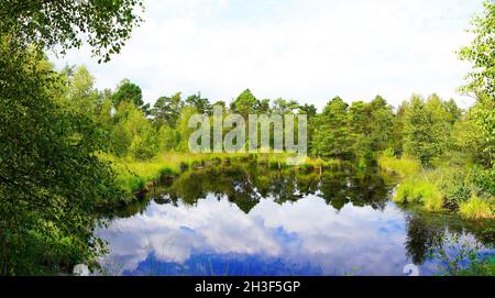 Groundless moor in Lower Saxony. Nature reserve with a wooden bridge in ...