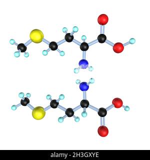 L-Methionine amino acid molecule 3D render chemical structure Stock ...