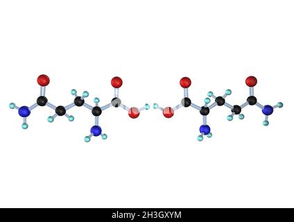 Glutamine (l-glutamine, Gln, Q) amino acid molecule. White skeletal ...