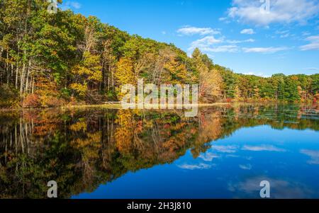 Scenic view of the Eames Pond, in Moore State Park, MA. Glorious fall ...