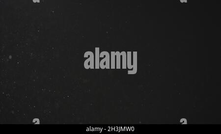 Dust particles float in neutral light on black background, wide photo ...
