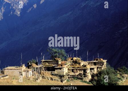 Nepal, Rukum area, Kham Magar ethnic group shaman Stock Photo - Alamy