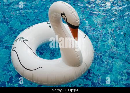 Inflatable white swan float in the outdoor swimming pool Stock Photo ...