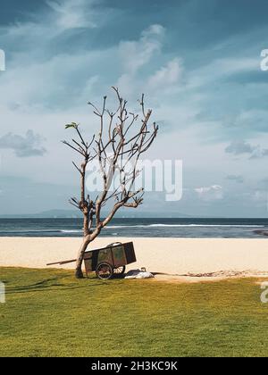Wheelbarrow on a beach Stock Photo - Alamy
