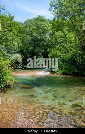 Forest in Simbruini Mountains Regional Park, Lazio, Italy Stock Photo ...