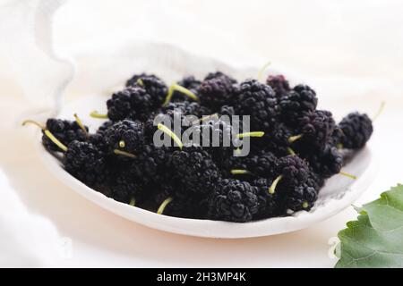 Pile of mulberry isolated on white plate Stock Photo - Alamy