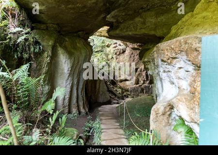 Box Canyon Cave, Karamea, West Coast, New Zealand Stock Photo - Alamy
