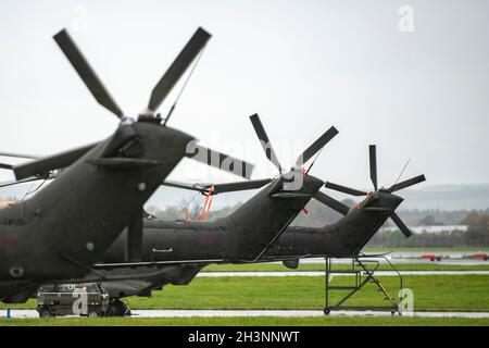 Royal Air Force Aérospatiale SA 330 Puma helicopter XW231 in tiger ...