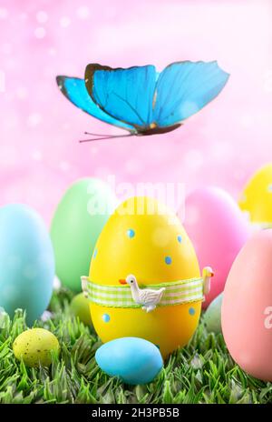 Colorful pink butterfly closeup, easter eggs on wooden background. Flat ...