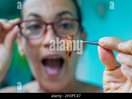 Close-up Of A Person Looking At Cockroach With Magnifying Glass On Bed ...