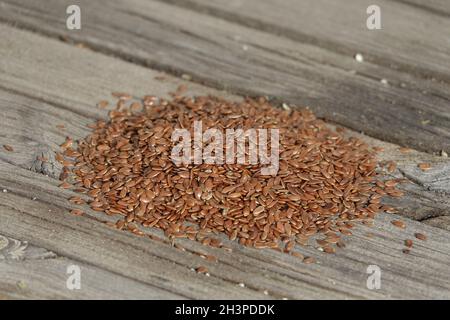 Flax Seeds and Flower - Linum usitatissimum Stock Photo - Alamy