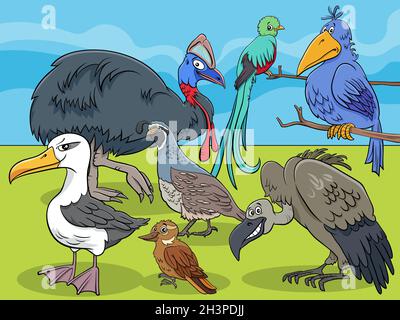 Cartoon birds animal characters group coloring book page Stock Photo ...