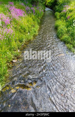 Das Selketal Harz die Selke Stock Photo - Alamy