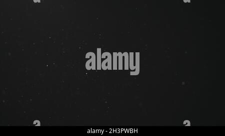 Dust particles float in neutral light on black background, wide photo ...