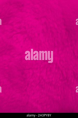 Close up abstract view of a fluffy cat's belly Stock Photo - Alamy