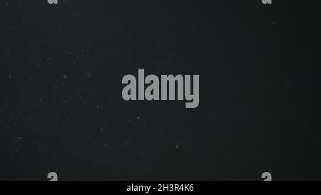 dust particles float in cool light on black background, wide photo ...