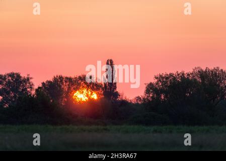Sunrise behind trees with orange sky Stock Photo - Alamy