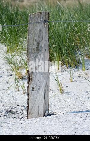 North beach Prerow with beach grass, fence posts, sand bays, wild ducks ...