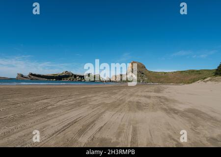 Walking track castlepoint new zealand Stock Photo - Alamy