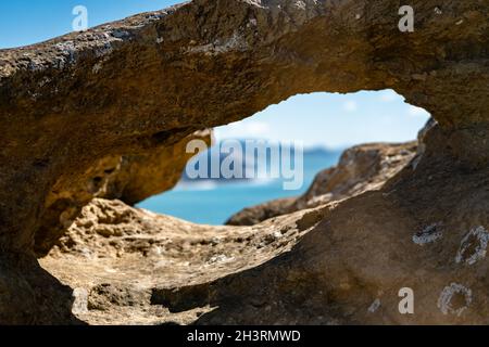 Castle Point track, New Zealand Stock Photo - Alamy