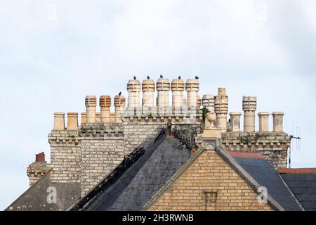 A stack of Victorian era chimneys on buildings in newcastle upon Tyne ...