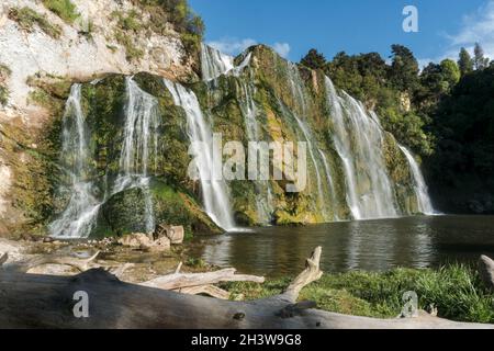 New Zealand Pongaroa Stock Photo - Alamy