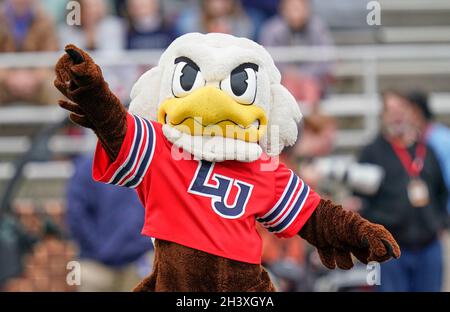 Lynchburg, Virginia, USA. 30th Oct, 2021. Liberty Flames wide receiver ...
