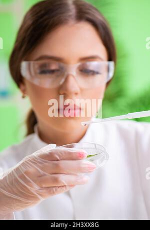 Beautiful female biotechnology scientist chemist working in lab Stock ...