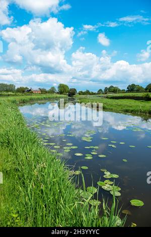 River Rother, Kent, UK Stock Photo - Alamy