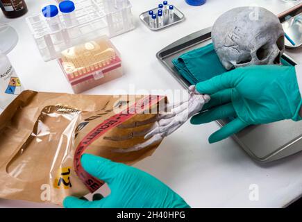Police detective collecting evidence at crime scene Stock Photo - Alamy