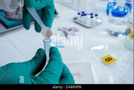 Forensic scientist deposits vertebral bone sample from human skeleton ...