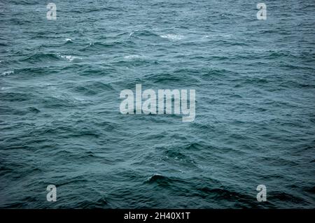 High angle shot of the sea near the shore under the cloudy sky Stock ...