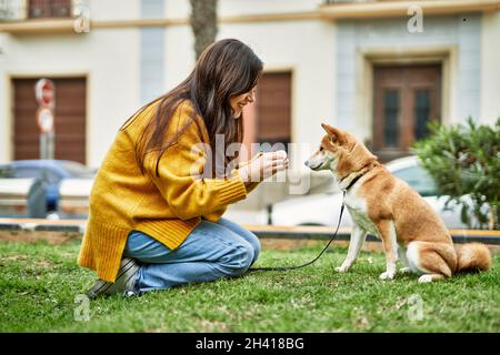 Beautiful young woman training shiba inu dog at park Stock Photo - Alamy