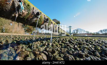 Rotary arm discharging waste water on filter bed, sewage treatment ...