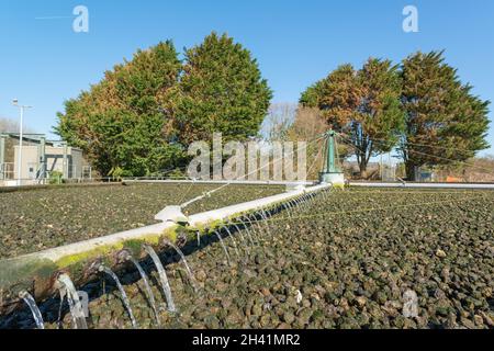 Rotary arm discharging waste water on filter bed, sewage treatment ...