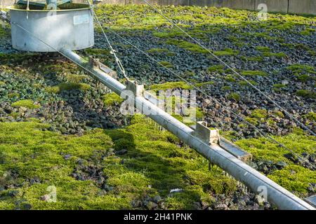 Rotary arm turning over biological filter bed, sewage treatment works ...